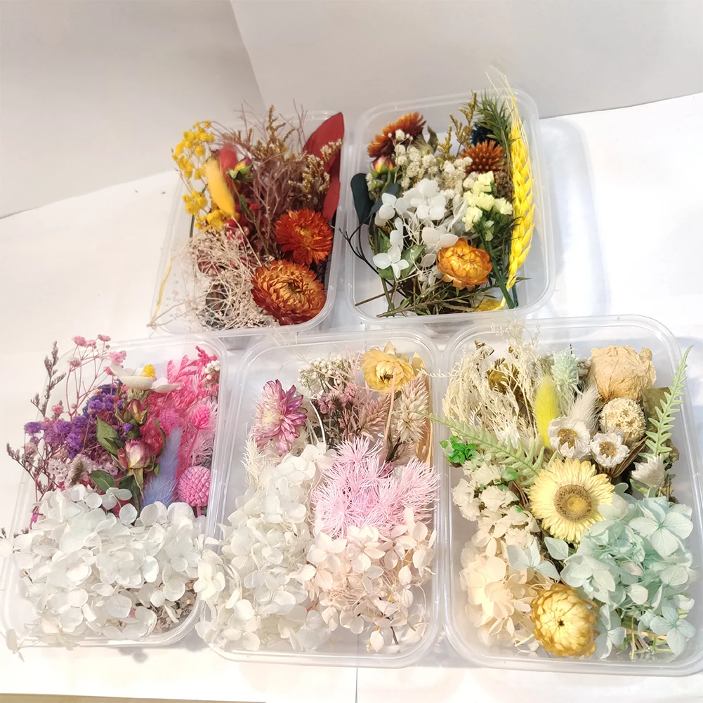 Dried Flowers Packet Mixed Dried Flowers Multifunction Pressed Flower ...