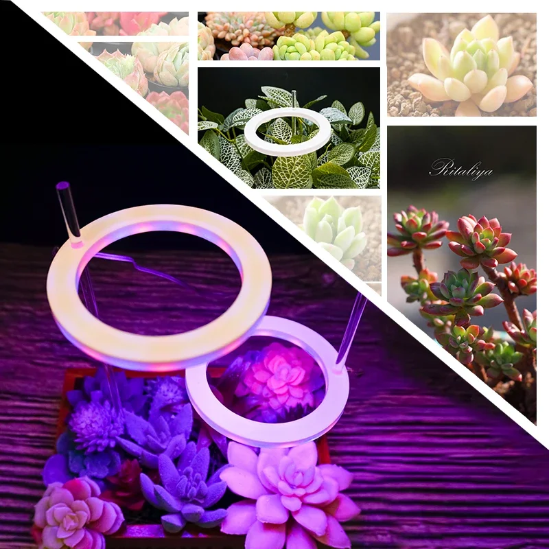 LED Ring Grow Lights – Garden Essentials Hub