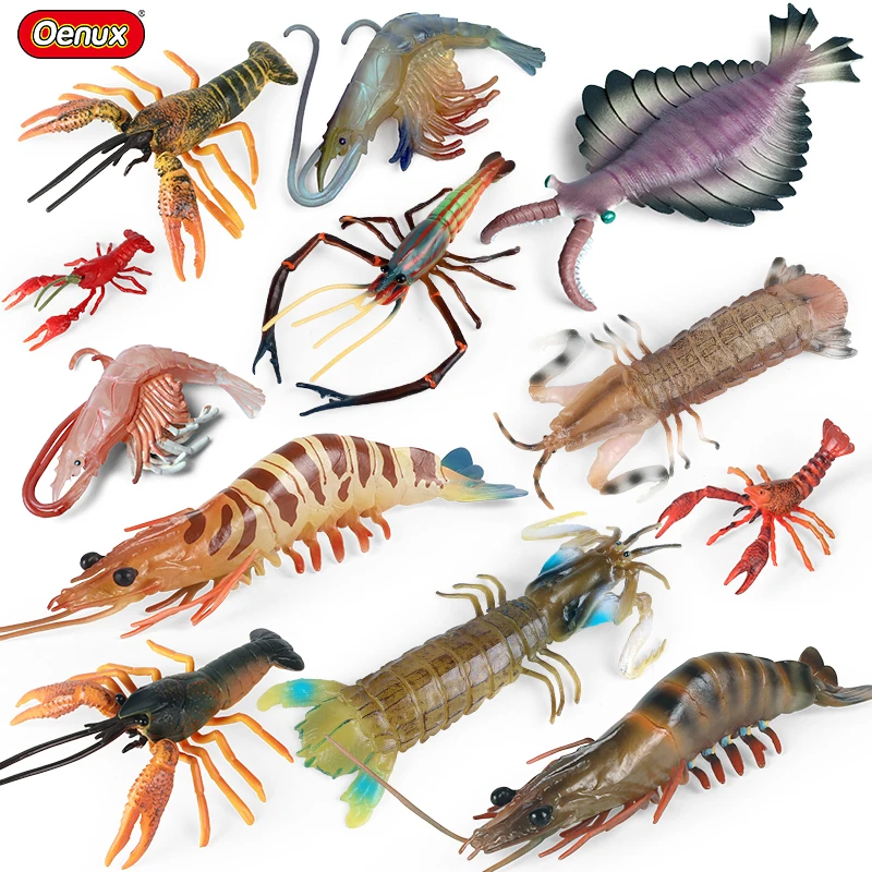 Oenux-Ocean-Animals-Simulation-Goby-Crayfish-Shrimp-Sea-Life-Model ...