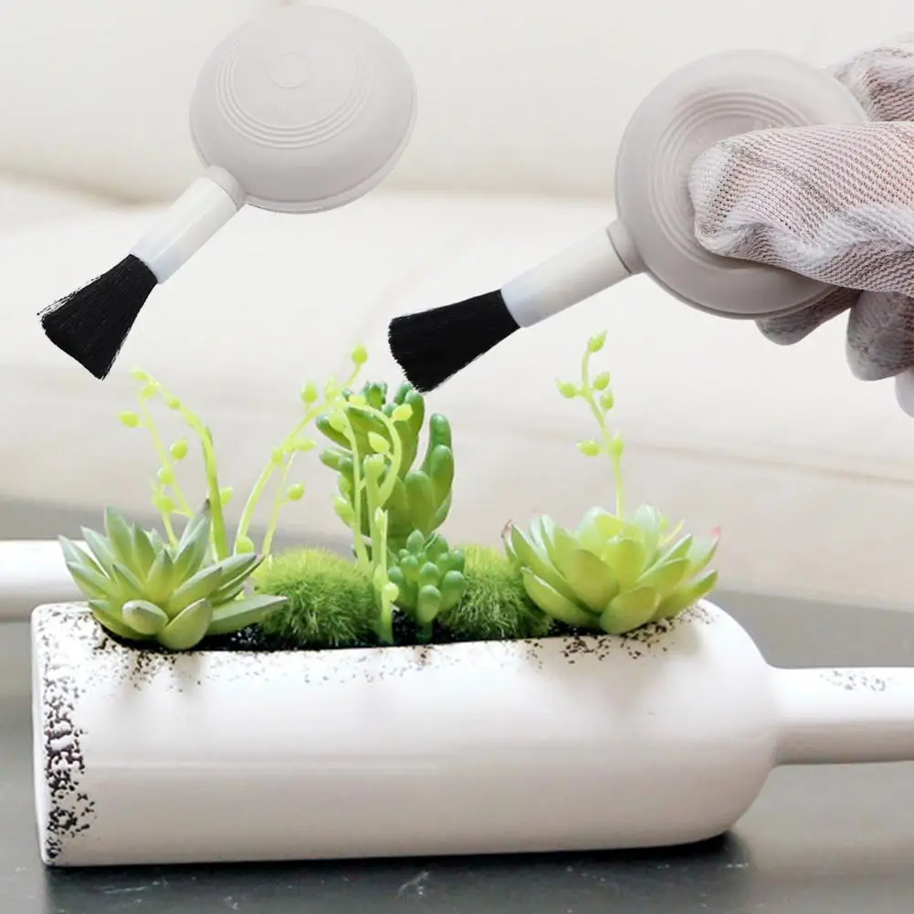 Hand Held Duster Plant