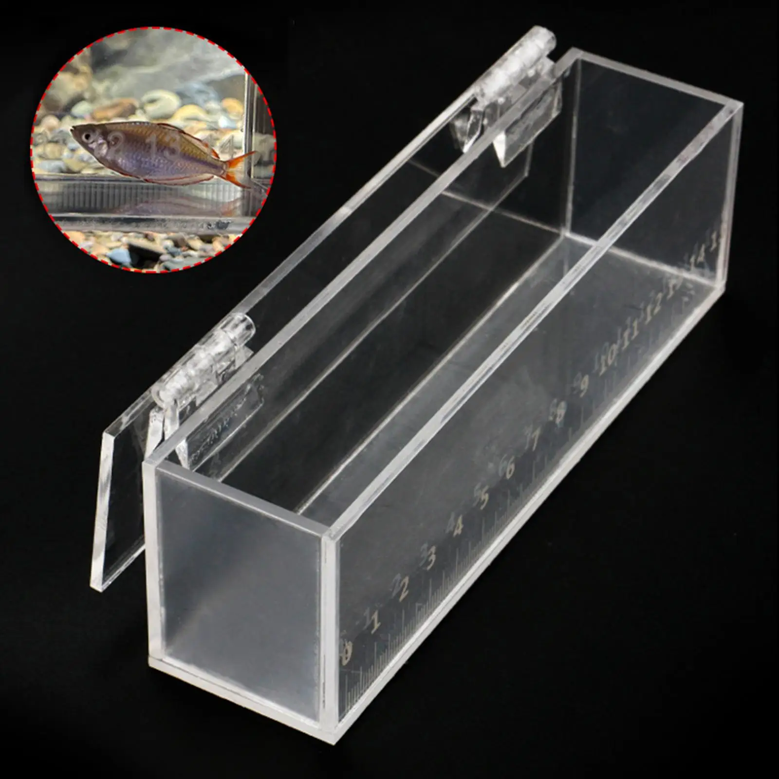 Fishing-Photo-Tank-Acrylic-mini-Aquarium-with-Lid-Fish-Viewing-Box ...
