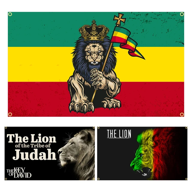 Lion Of The Tribe Of Judah Star Of David