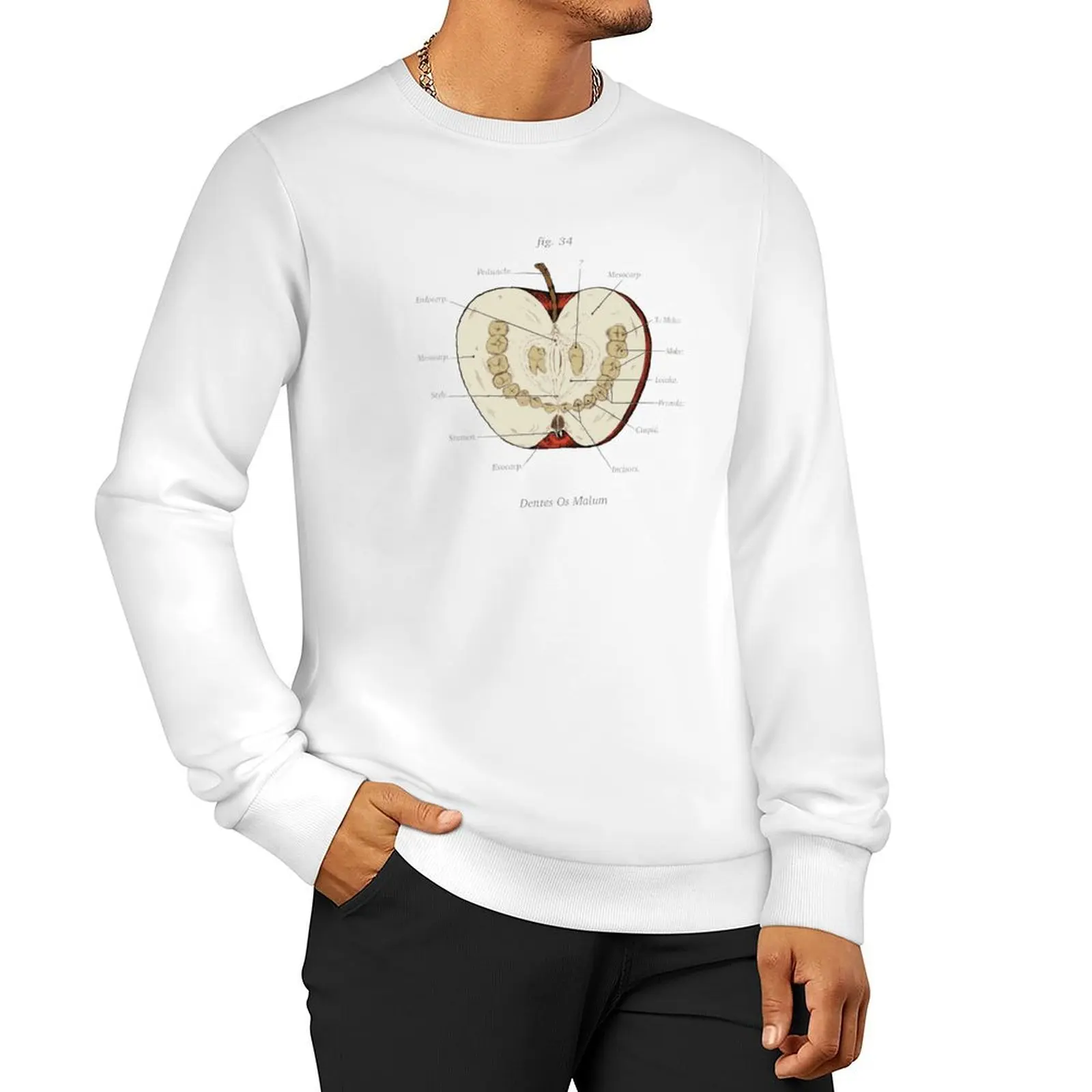 The-Magnus-Archives-Anatomy-Class-Teeth-Apple-Sweatshirt-autumn-jacket ...