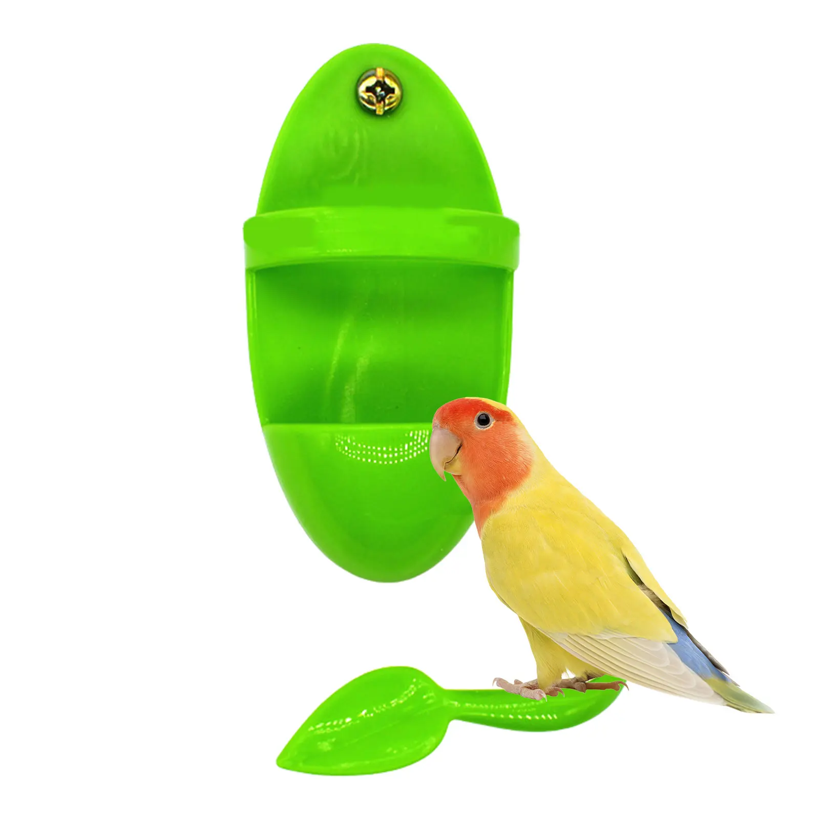 Cuttlebone-Holder-For-Bird-Cage-Bird-Cage-Accessories-Cuttlebone-Cuddle ...