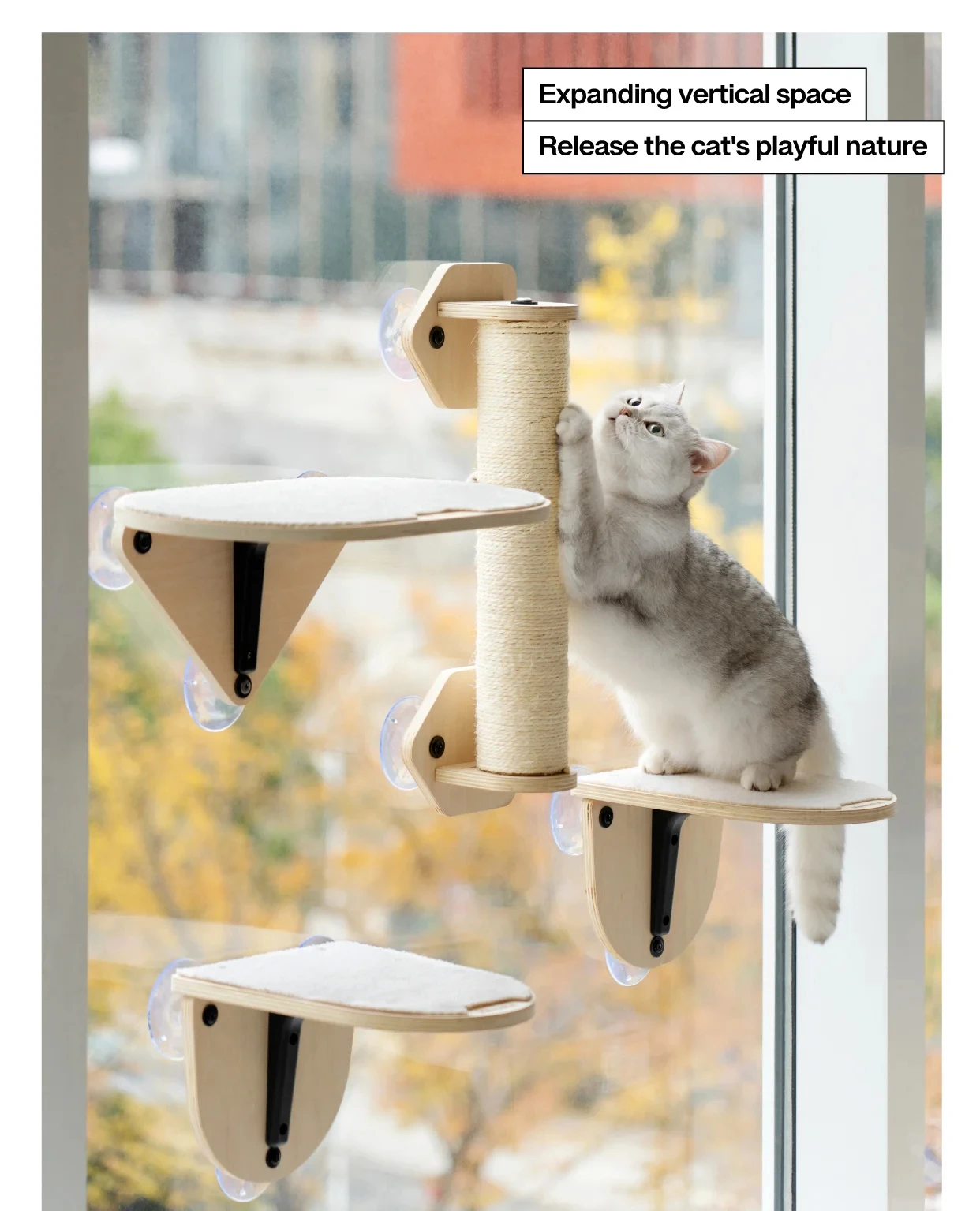 Mewoofun Air Cat Climbing Frame Glass Suction Cup Wall Shelf Cat Window ...
