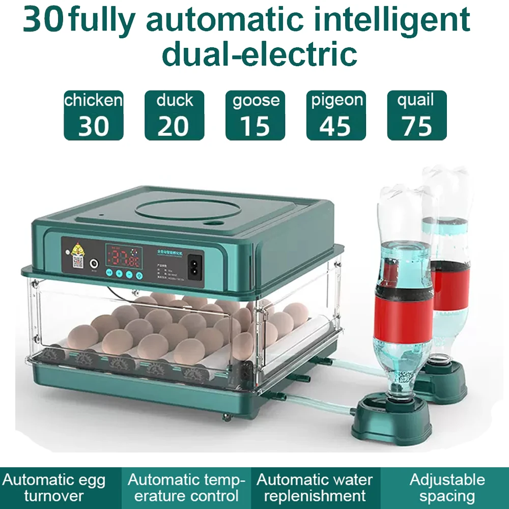 Quail Egg Incubators