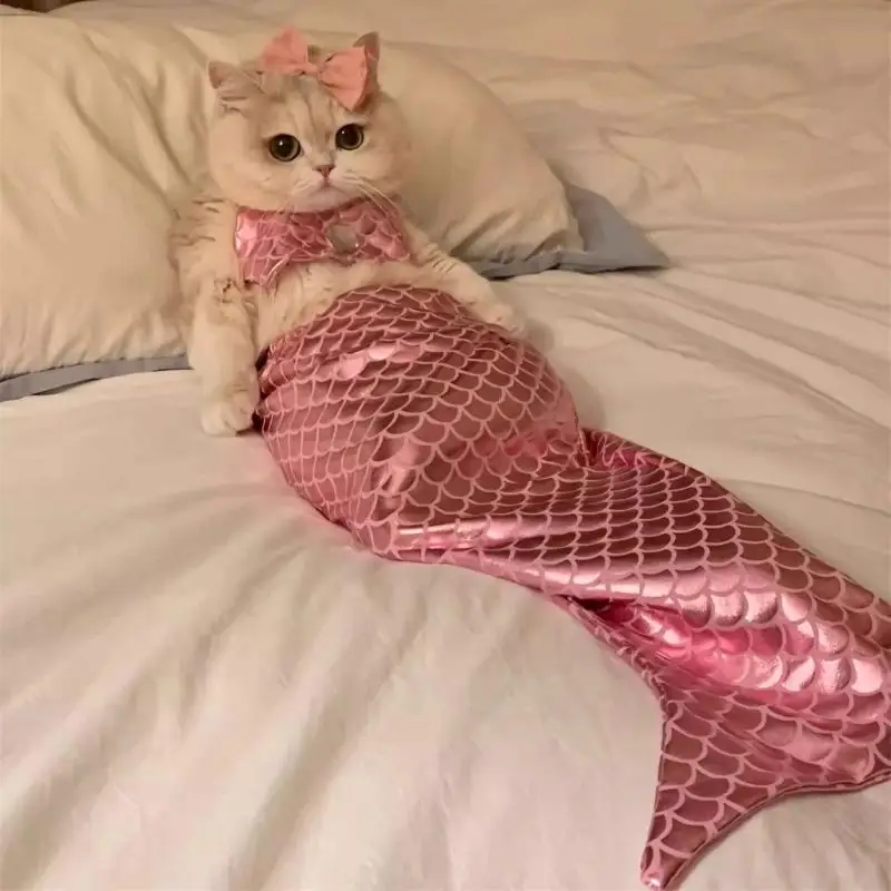 Girl Cats Dress Wedding Costume Apparel Birthday Dresses Puppy Beach ...