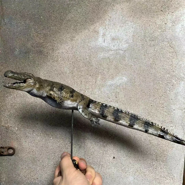 Purussaurus Vs Titanoboa