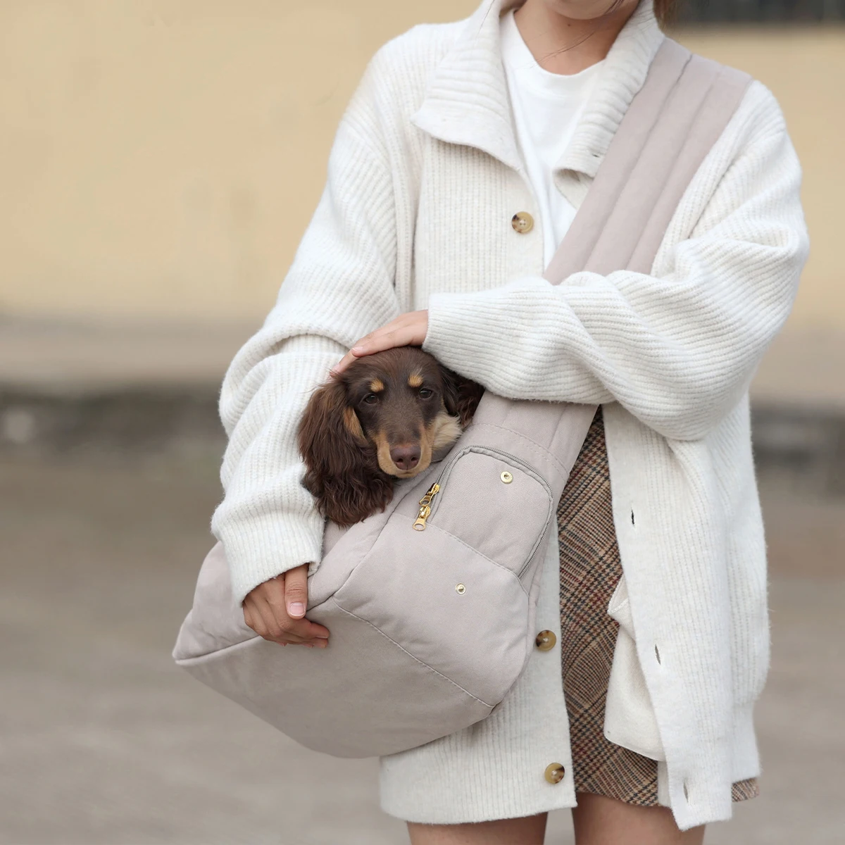 Outdoor Travel Pet Dachshund Puppy Carrier Shoulder Bag Travel Bag ...