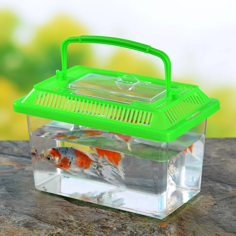 Portable-Handheld-Plastic-Fish-Tank-Transparent-Cutout-Design-For ...