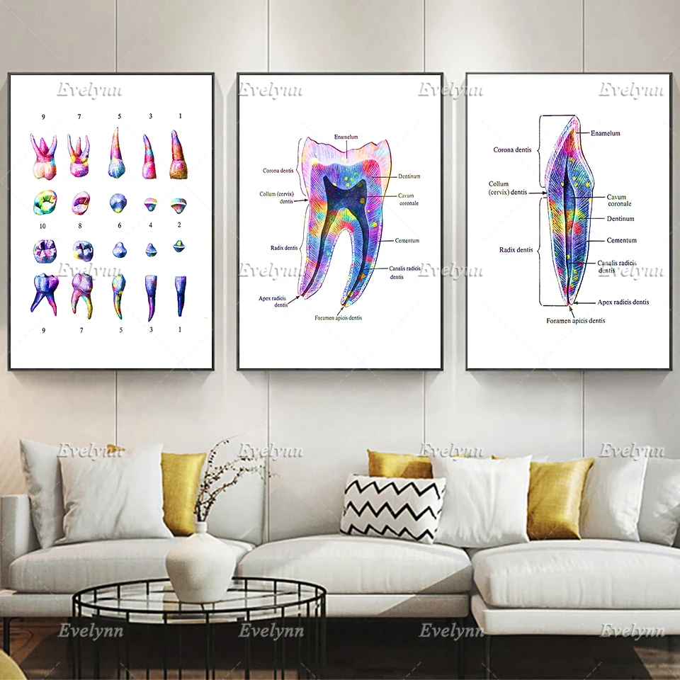 Dentist-Art-Watercolor-Tooth-Anatomy-Canvas-Poster-Dental-Clinic-Decor ...
