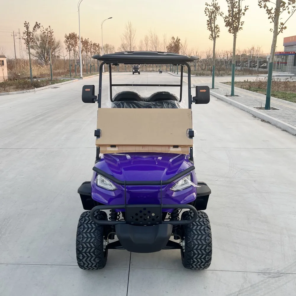 High-Performance-2-8-Seater-Golf-Carts-Electric-or-Gas-Powered-Cheap ...