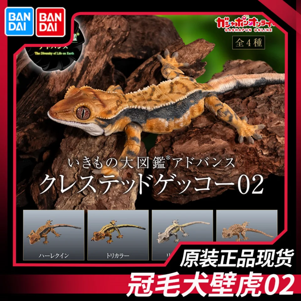 Bandai-figura-DE-ACCI-N-DE-Gashapon-juguete-Original-de-gran-mapa-biol ...