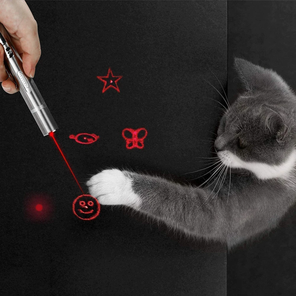 Laser Pointer Cat