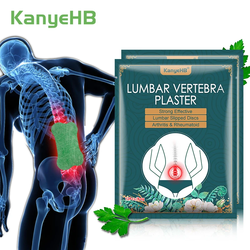 24pcs-2bags-Lumbar-Pain-Relief-Patch-Wormwood-Analgesic-Back-Plaster ...
