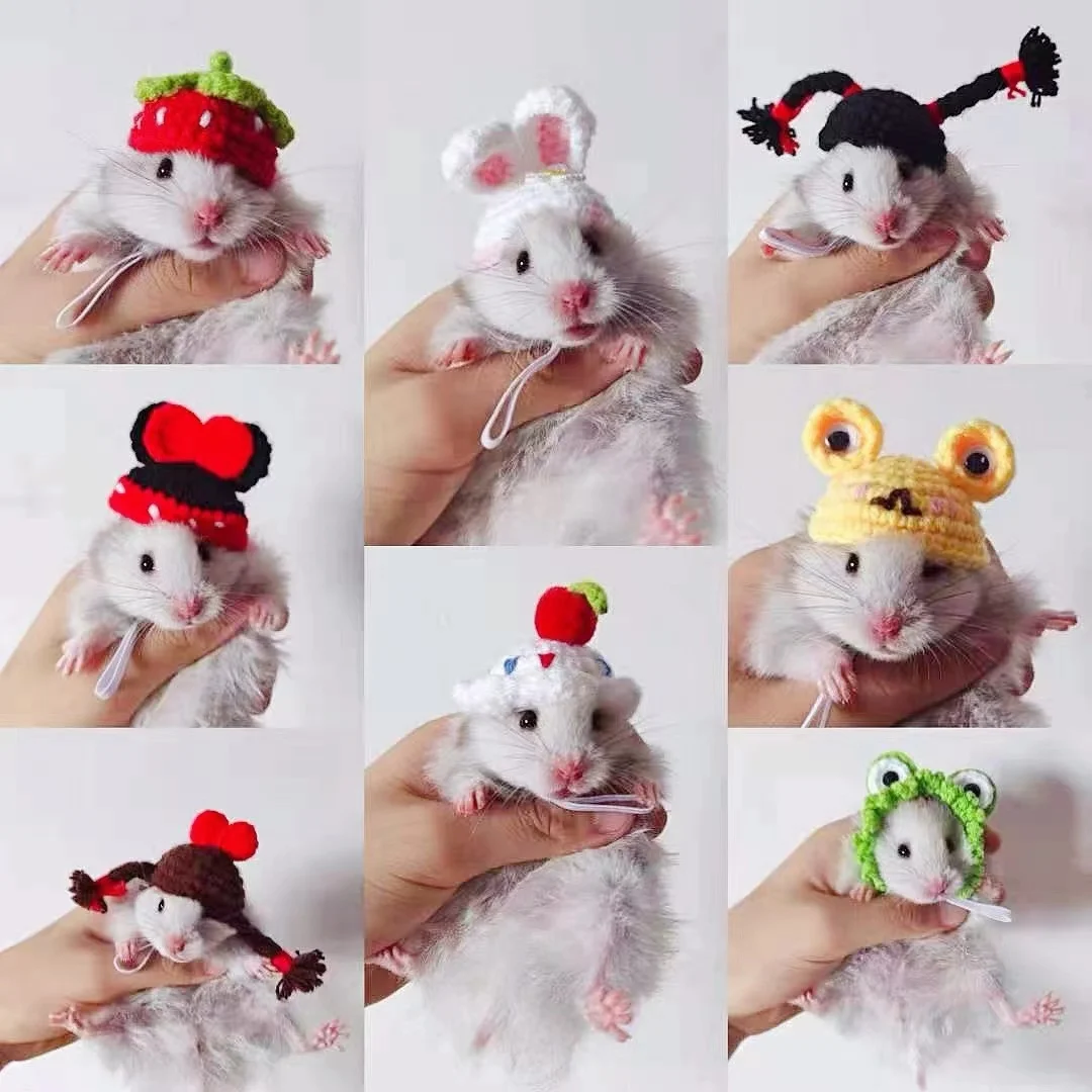 7Pcs-Knitted-Hamster-Hat-Lizard-Guinea-Pig-Tortoise-Weasel-Squirrel ...