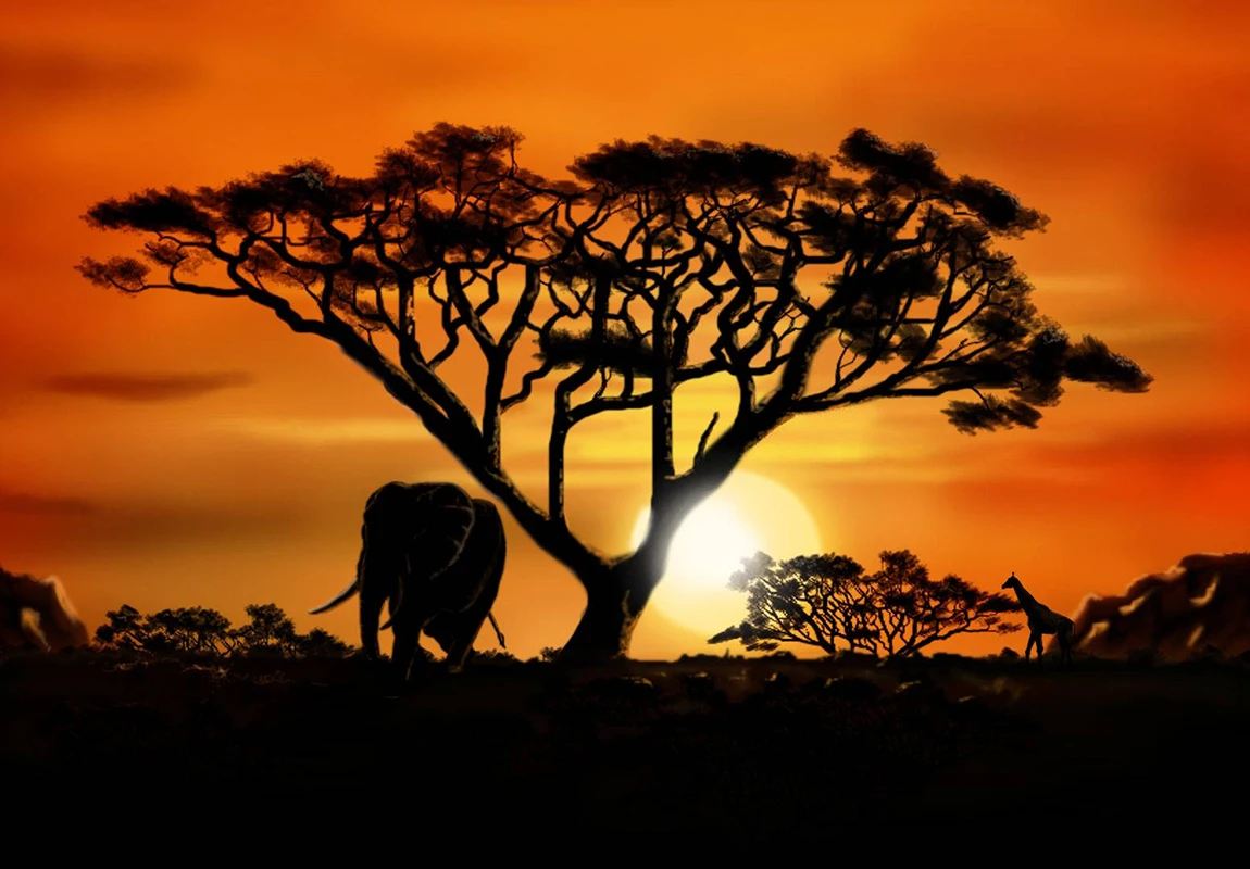 African Animals Sunset Wallpaper