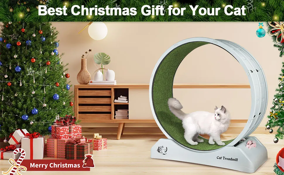 Noiseless Cat Running Toy Wheel Exercise Treadmill Cat Fitness Roller ...