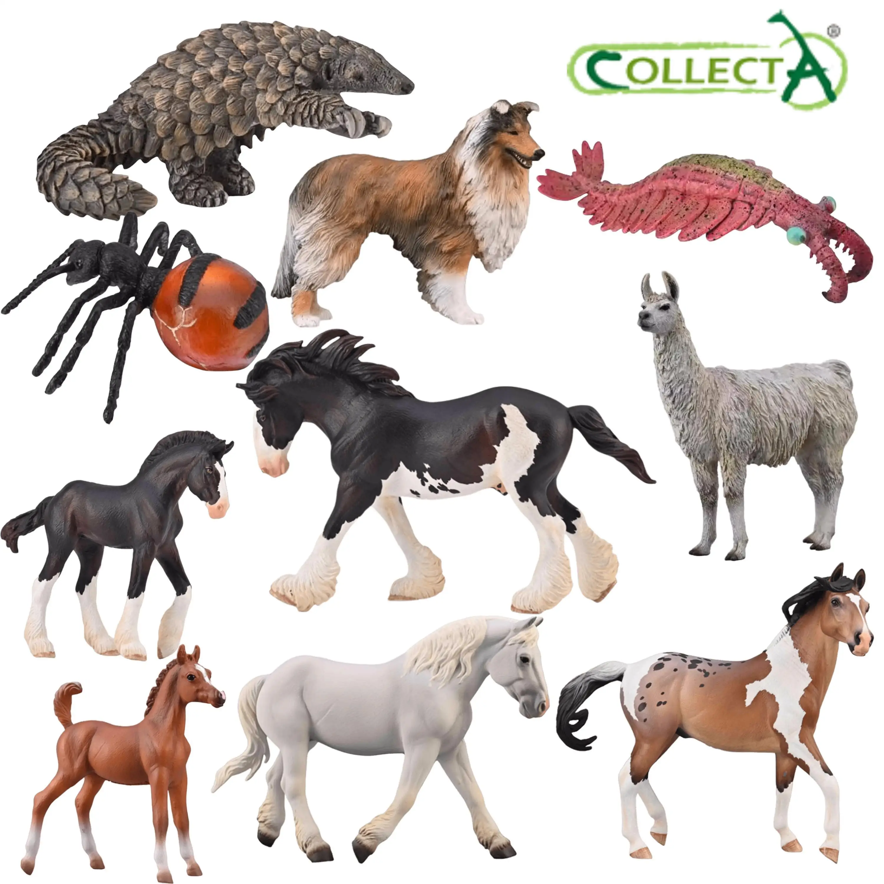 Store Home Products ChoiceDay Feedback