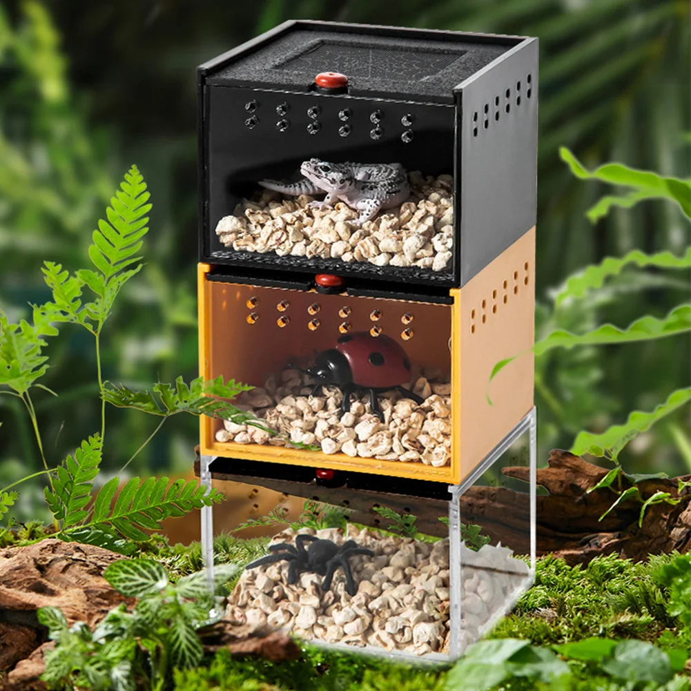 Insect-Breeding-Box-Terrariums-Small-Reptile-Hatching-Container-Acrylic ...