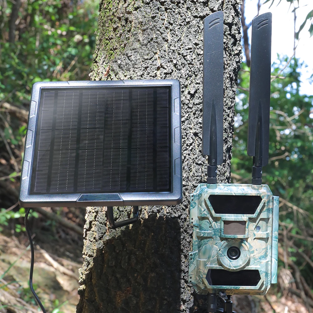 BL6A-6V-12V-Solar-Battery-Charger-Powered-Outdoor-Wildlife-Hunting ...