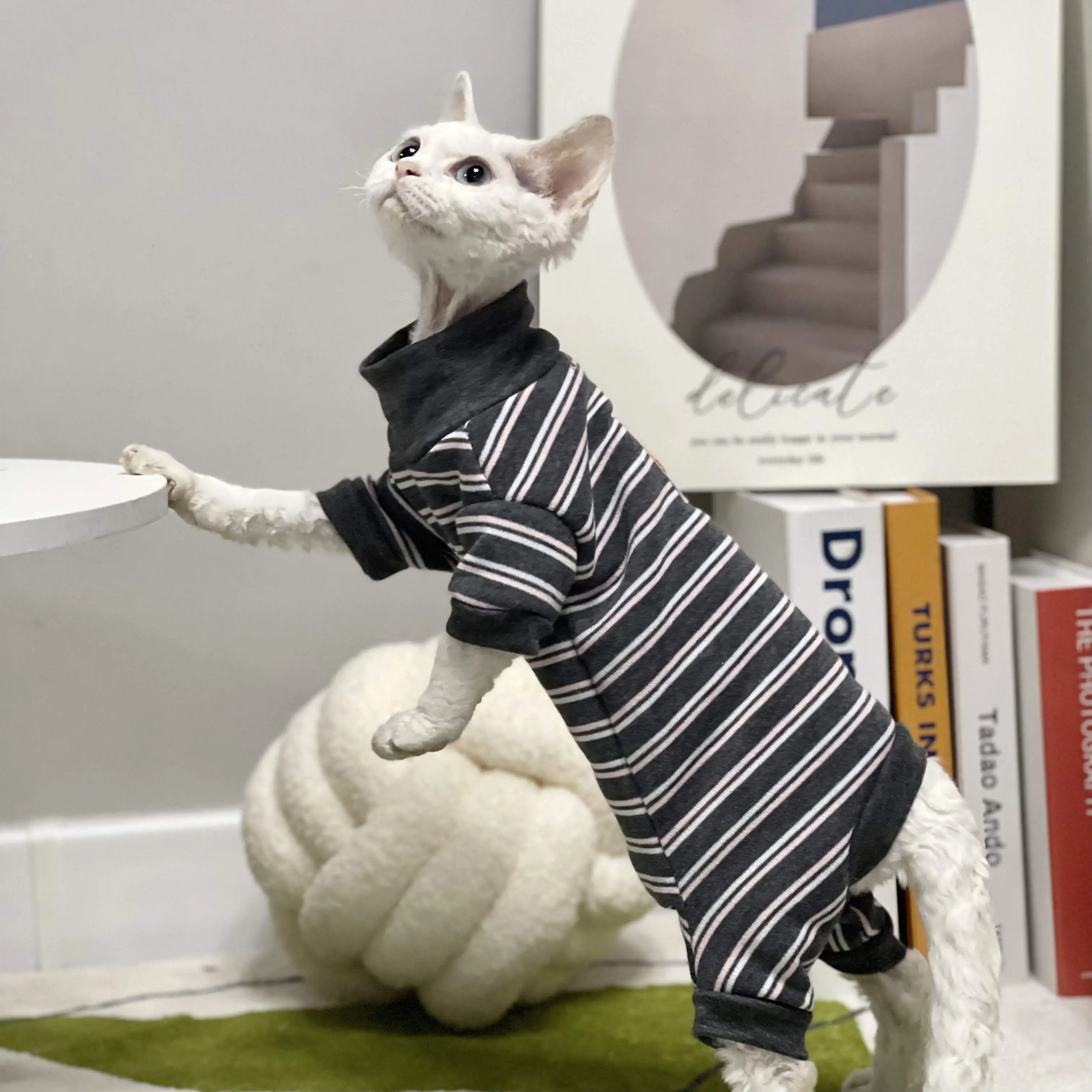 Winter-Stripe-Sphynx-Cat-Clothes-Soft-Cotton-Kitten-Cat-Pajamas-Warm ...