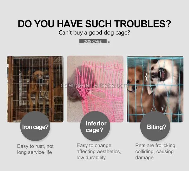 In Dog Cage Meme