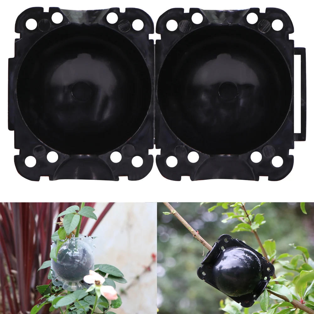 6PCS-Tree-Root-Grow-Box-High-Pressure-Tree-Rooter-Air-Layering ...