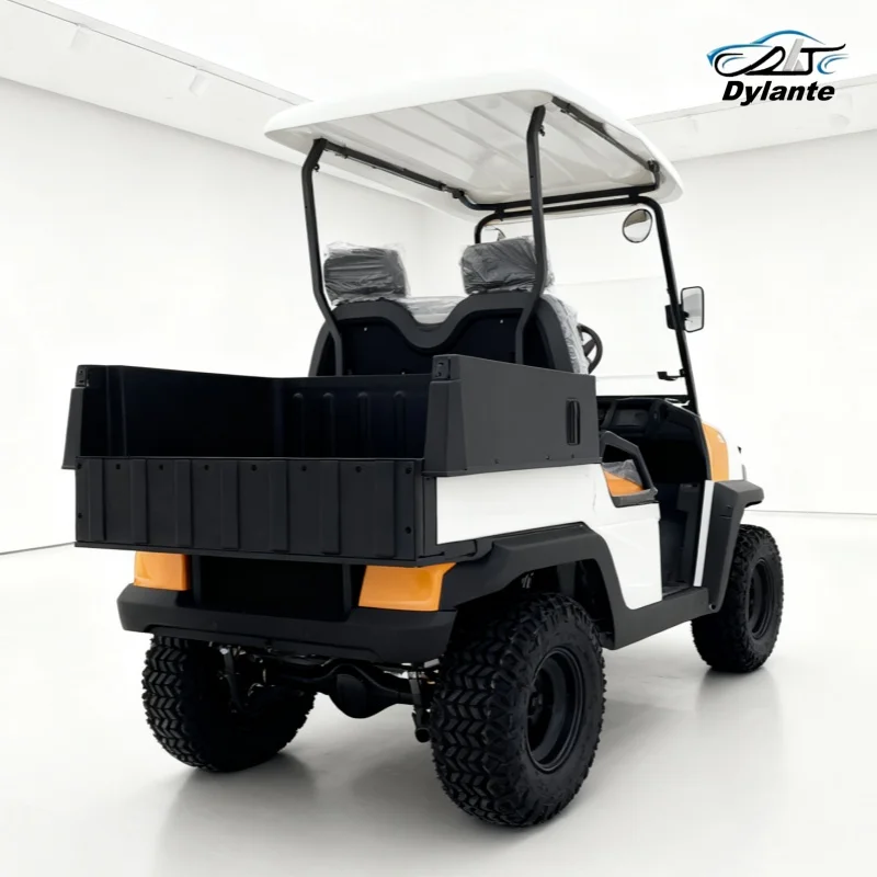 Scenic Sport Club Car Electric Go Kart 2 Seater Double Wishbone ...