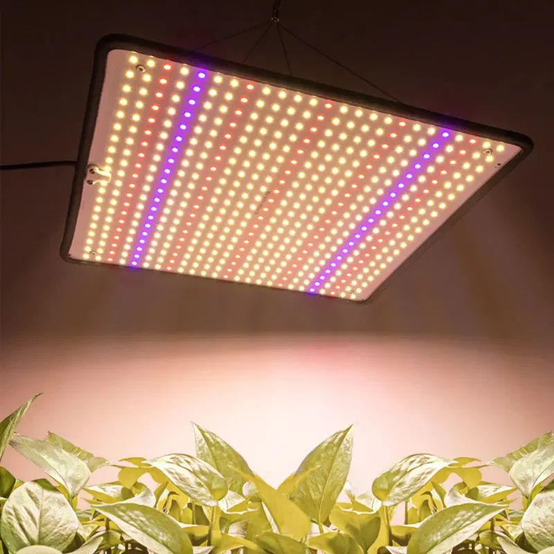 Grow-Tents-Flowering-Quantum-Board-Led-Samsung-Grow-Light-Full-Spectrum ...