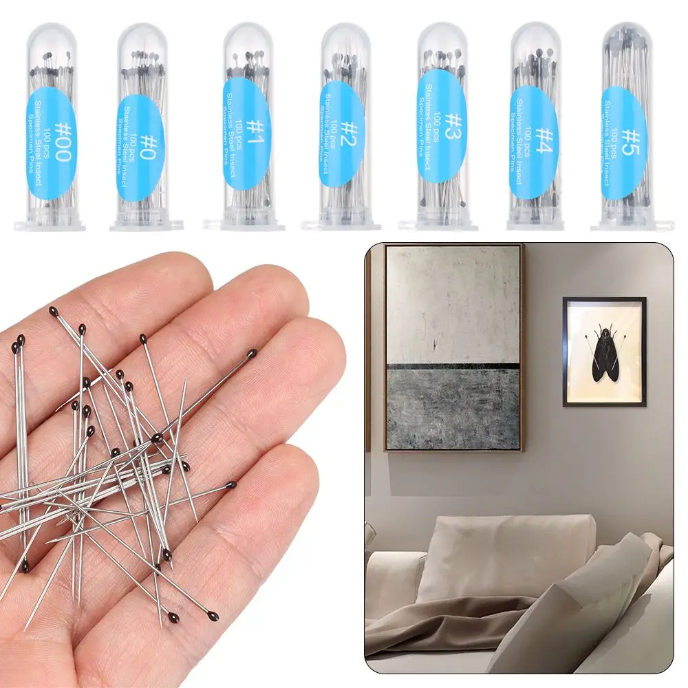 100Pcs Stainless Steel Specimen Needle Insect Pins With Plastic Box For ...