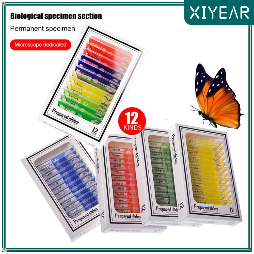 48pcs-60pcs-Kids-Prepared-Microscope-Slides-Of-Animals-Insects-Plants ...