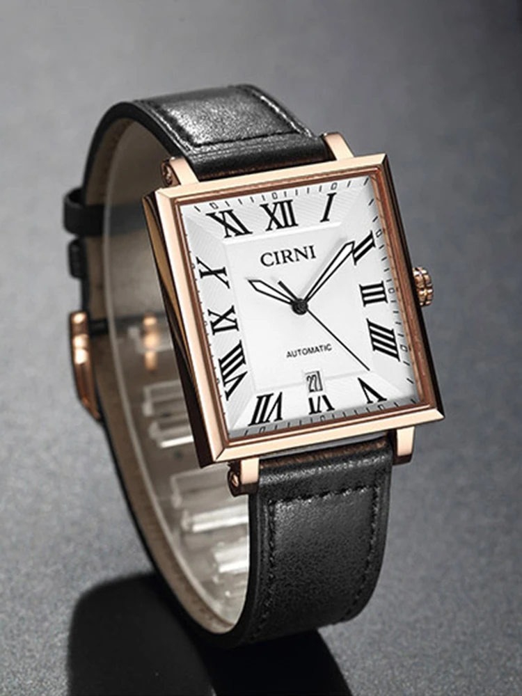 Luxury Dress Watch Automatic Men Business Self Winding Mechanical ...
