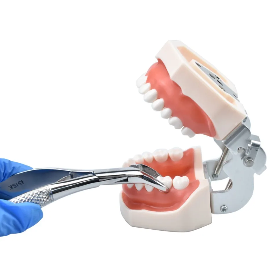 Dental-Children-s-Tooth-Extraction-Forcep-Pliers-Toolkit-Orthodontic ...