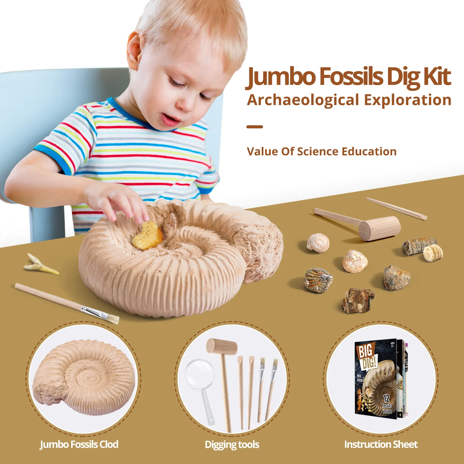 Paleontology Tools For Kids