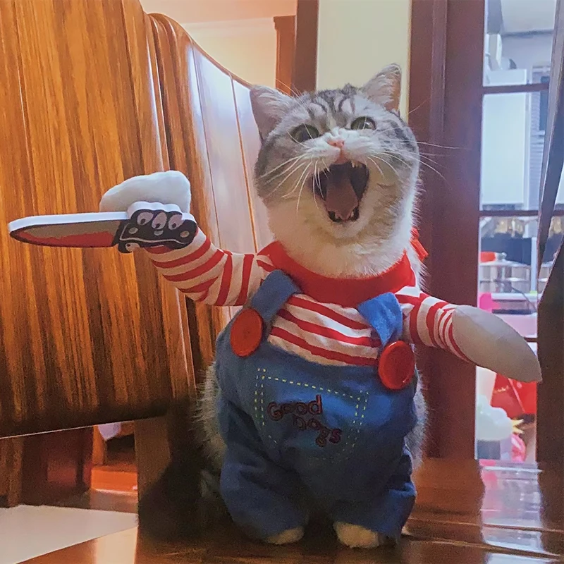 Disfraz-divertido-de-gato-para-Halloween-trajes-c-micos-de-gatito-ropa ...