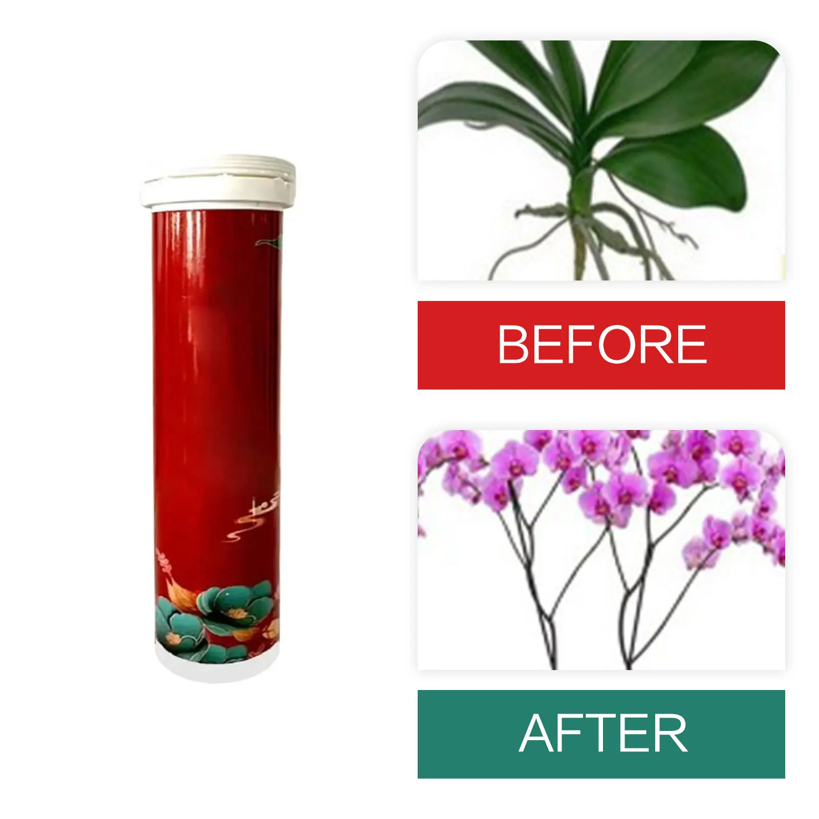 Garden-Universal-Slow-Release-Tablet-Recovery-Orchid-Succulent-Plant ...