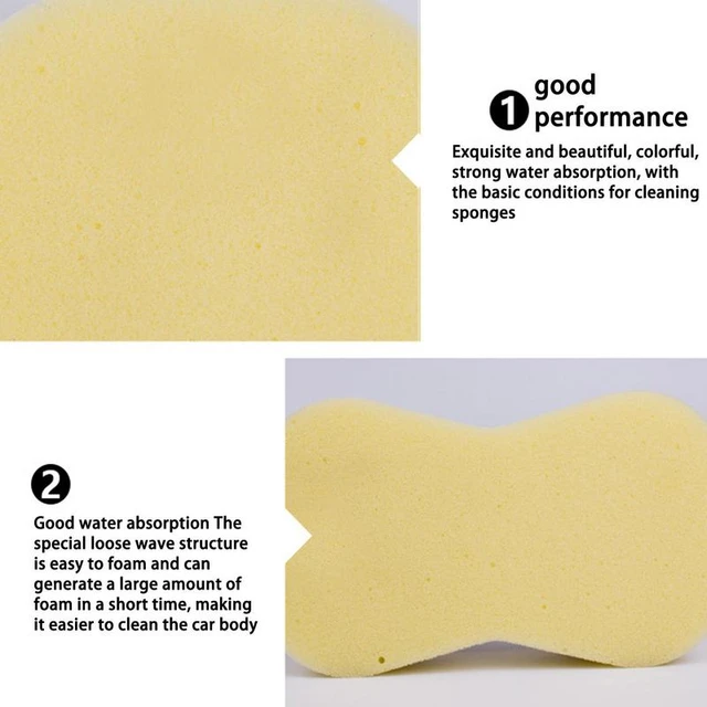 Sponge Absorbing Waves