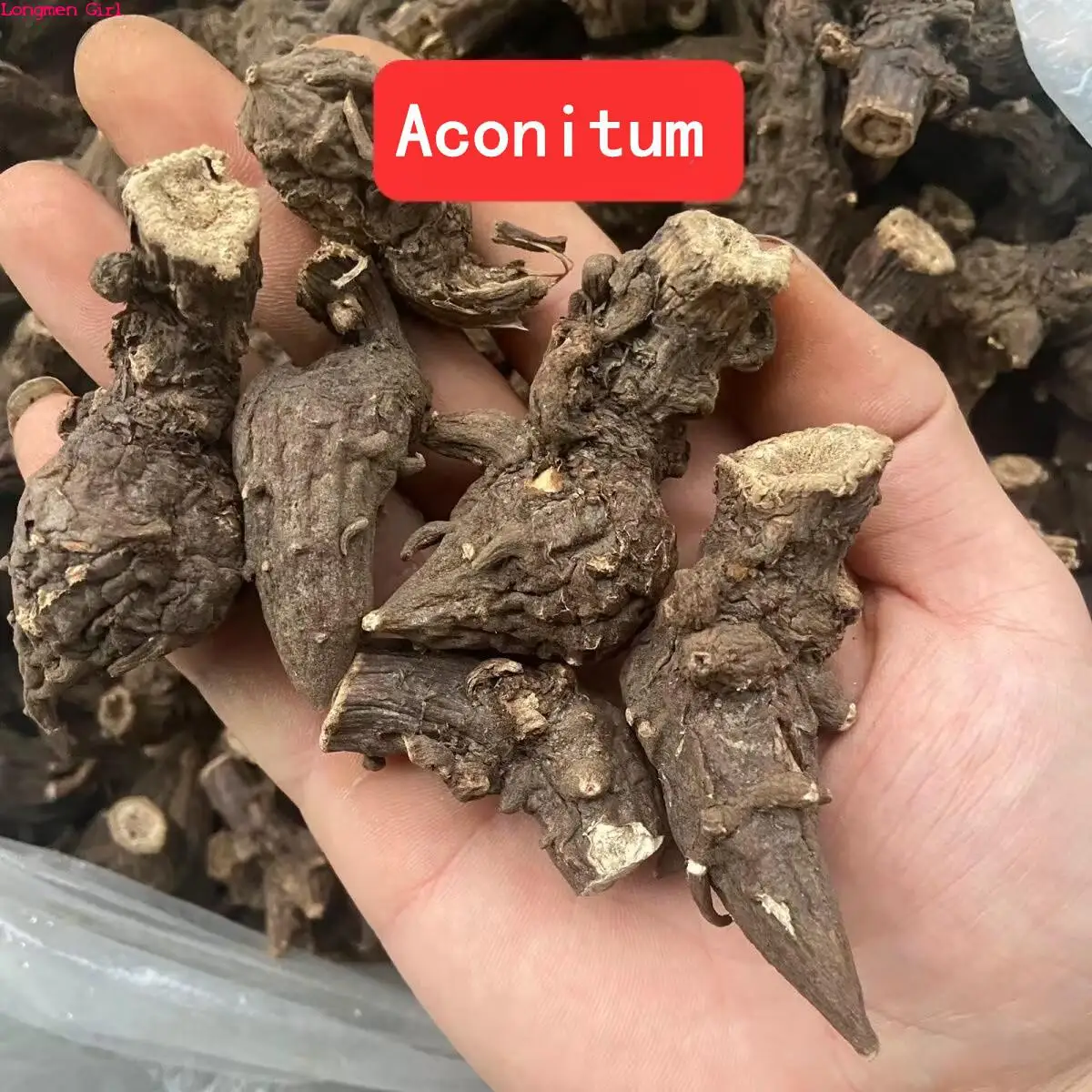 High-Quality-Natural-Aconitum-Root-Multipurpose-Aconitumnagarumstapf ...