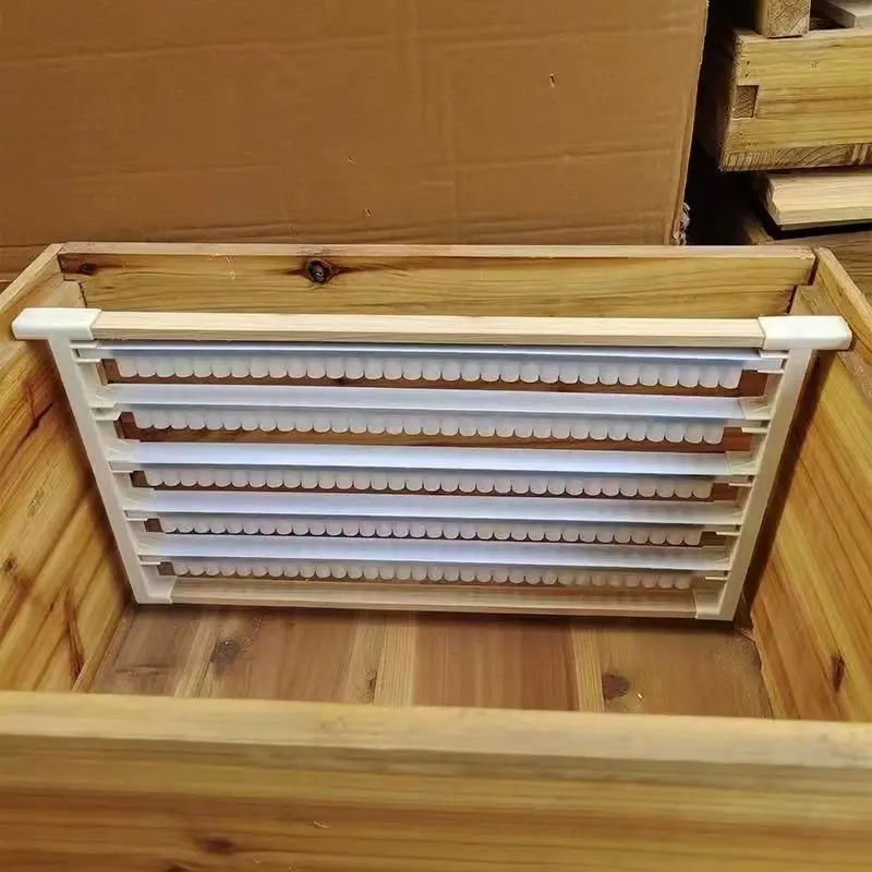Double-Rows-Of-Royal-Jelly-Frames-Royal-Jelly-Bars-Plastic-Bees ...