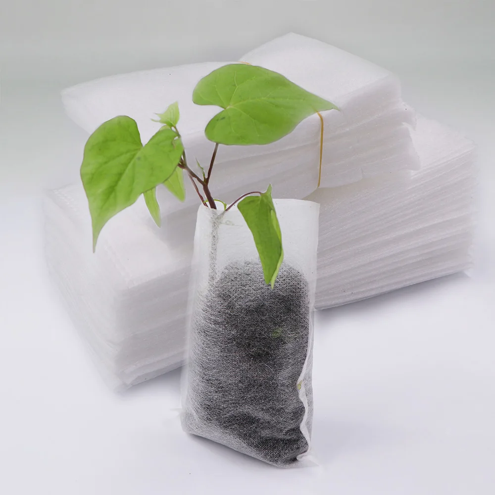 Store Home Products ChoiceDay Feedback