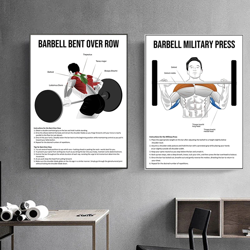 Weight Lifting Exercise Diagrams