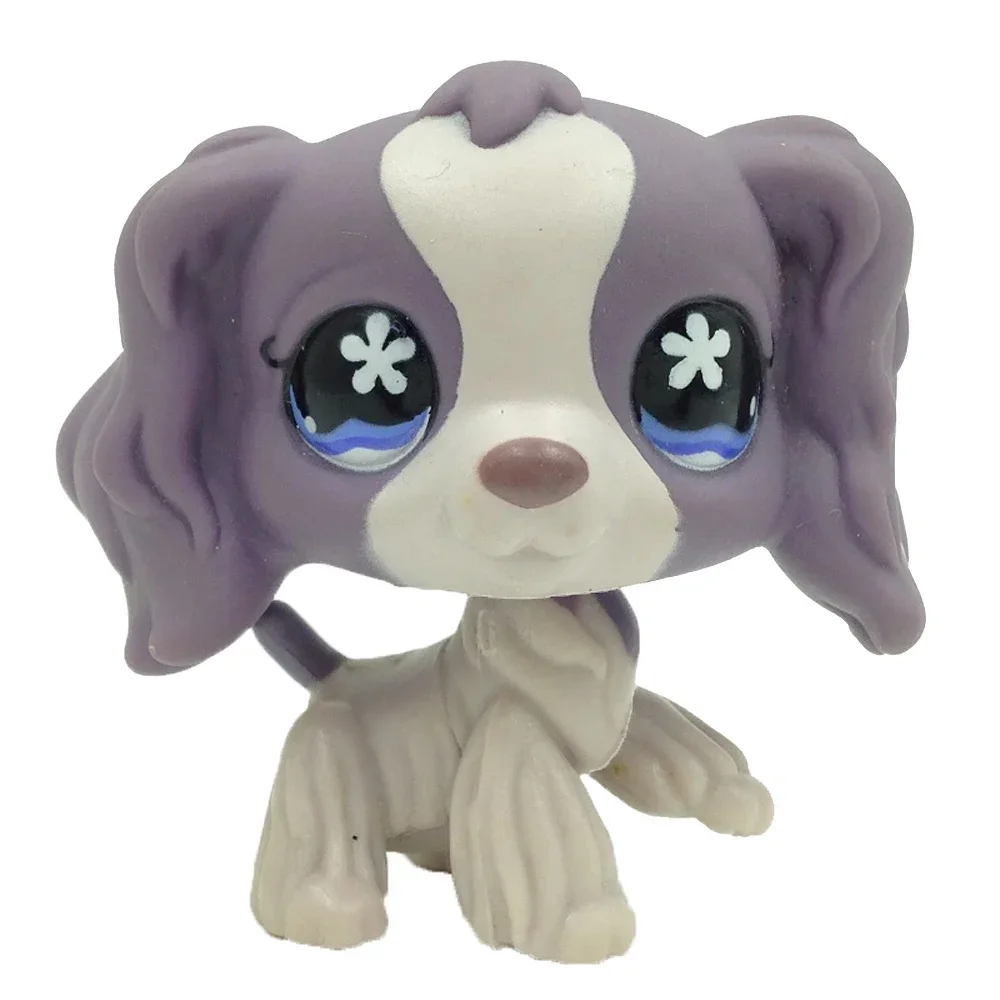 Rare pet Real animal pet shop lps toy Bobble head toy Cocker SPANIEL ...
