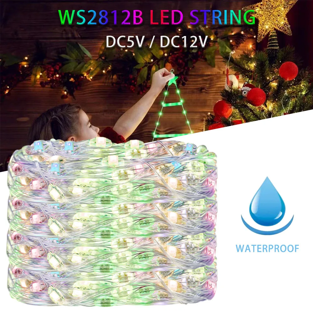 WS2812B-RGBIC-LED-String-Party-Christmas-Lights-BT-WIFI-WS2812-Music ...
