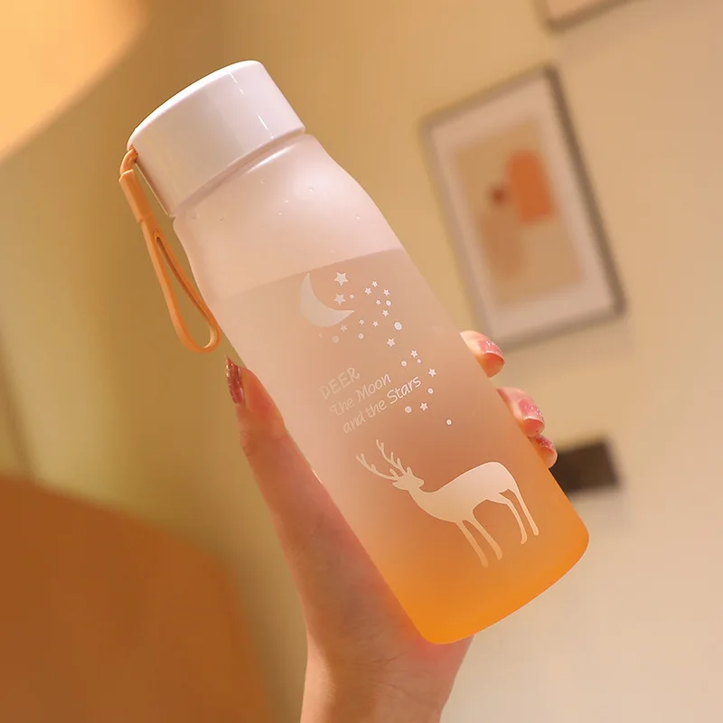 GOURDE,Transparent-Orange-560ml--Bouteille'eau en plastique givré dégradé de 560ml, tasse de ...