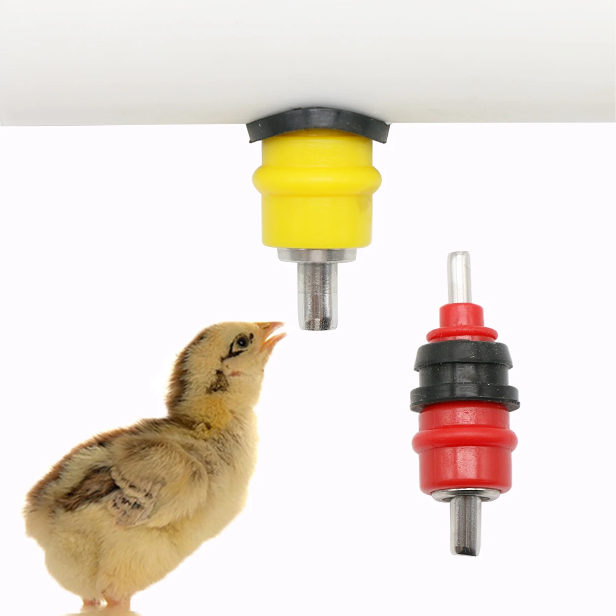 10-pcs-Quail-Pigeon-Bird-Waterer-Chicken-Waterer-Nipple-Drinkers ...
