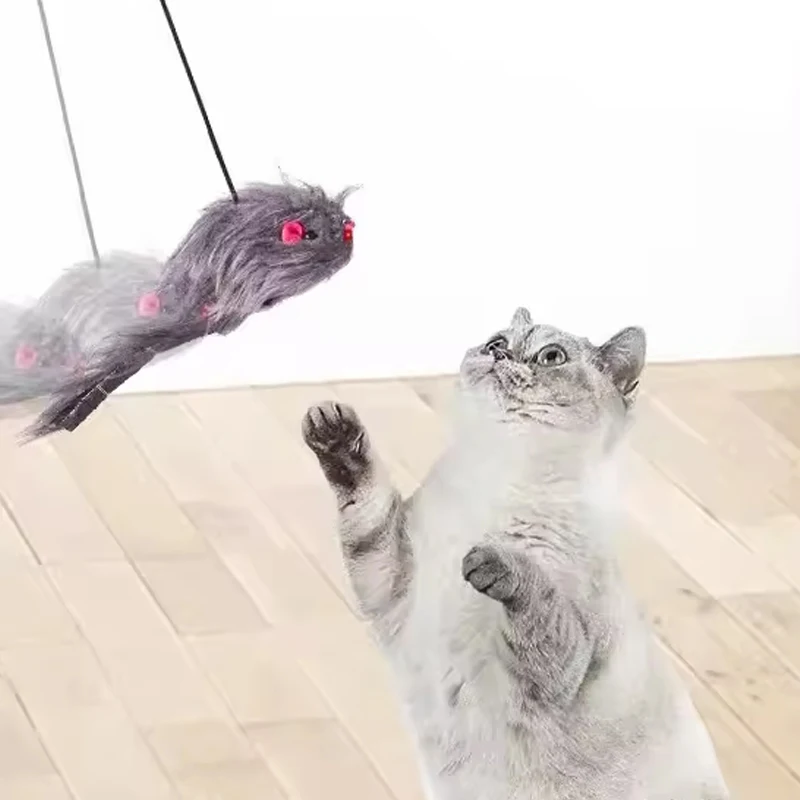 Retractable-Cat-Feather-Toy-Hanging-Interactive-Toys-for-Indoor-Cats ...