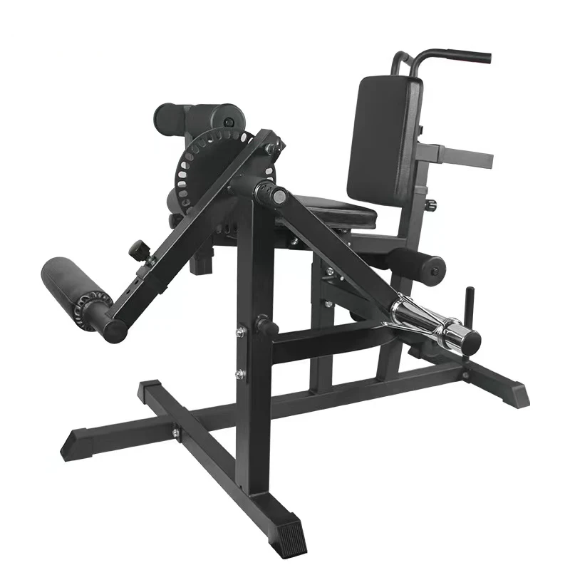 Flexion And Extension Of Leg