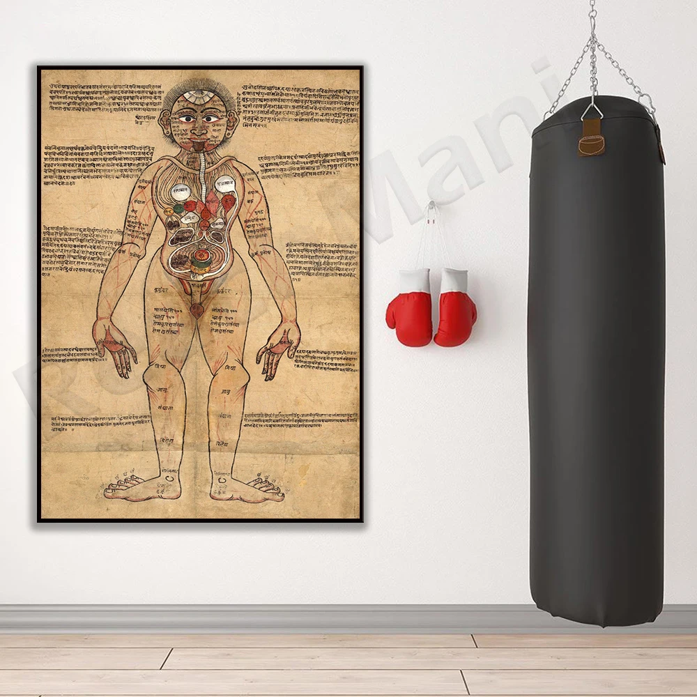 Creeper Anatomy Poster