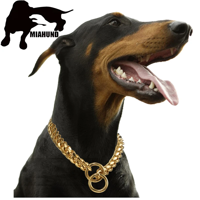 What Size Collar Does A Male Doberman Need
